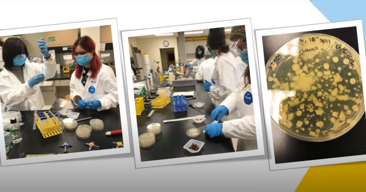 What's Buzzing Students Explored Antimicrobial Resistance in Research ...