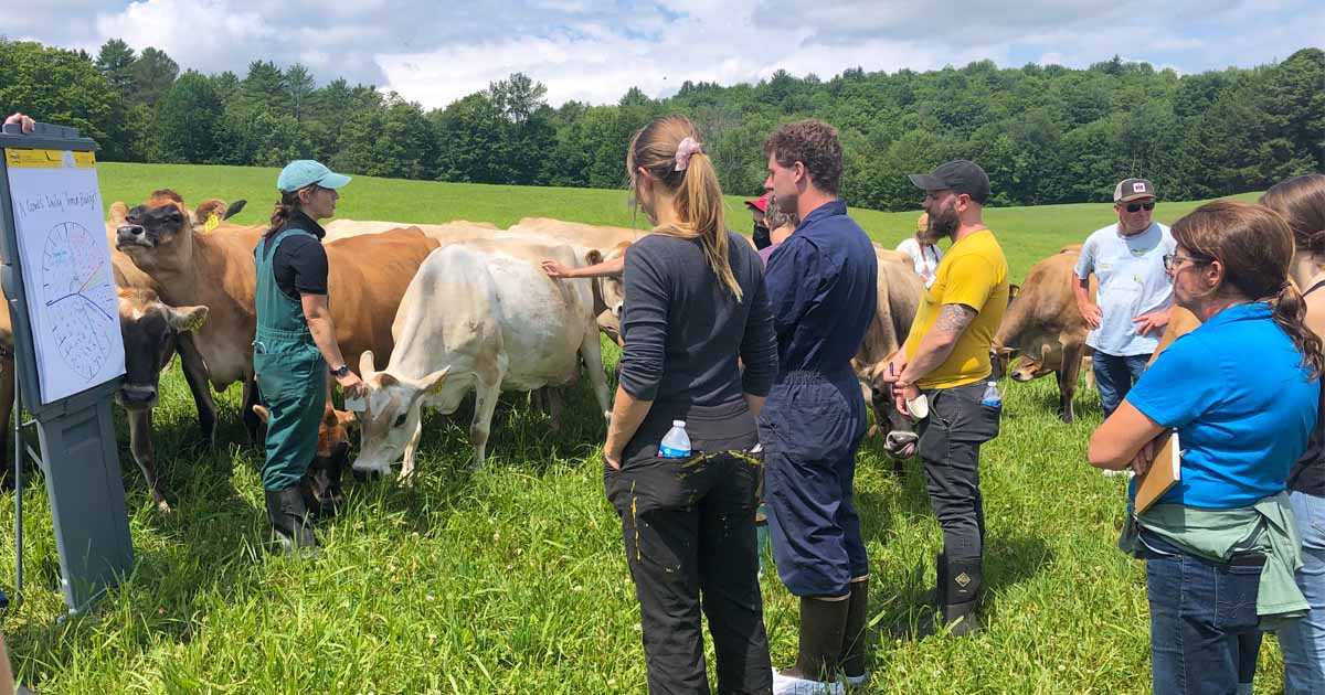 What's Buzzing Summer Dairy Herd Health Workshop Series What's Buzzing Summer Dairy Herd Health Workshop Series