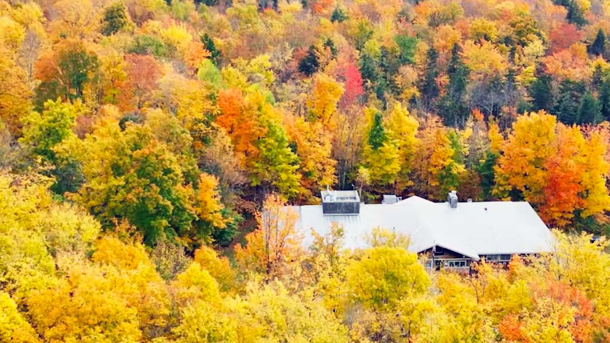 What's Buzzing Applications for PMRC Scientific Director/Professor Being Accepted