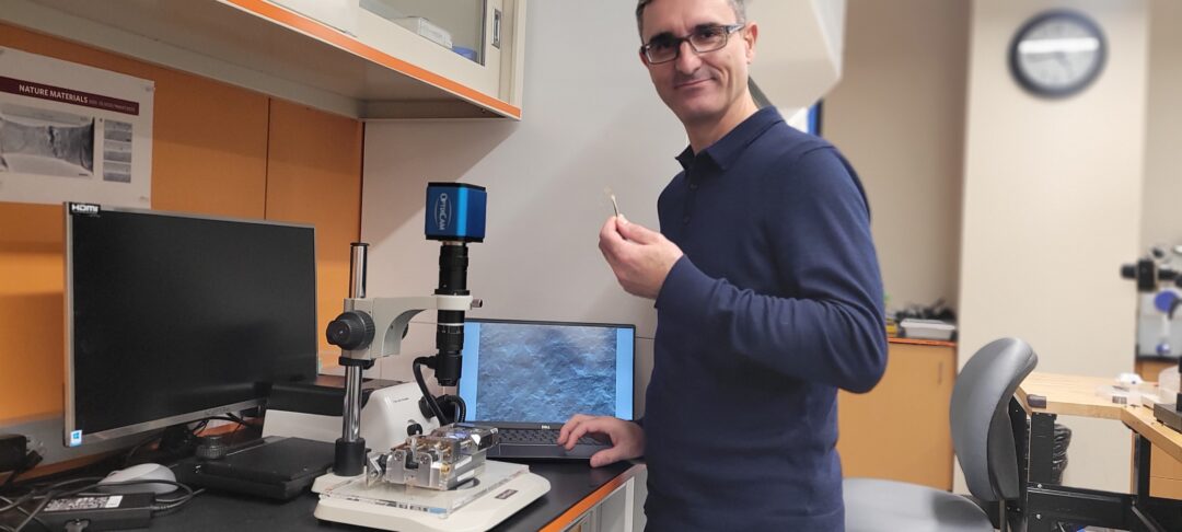 Work with us – Laboratory for Advanced Nanoscale Mechanics and ...