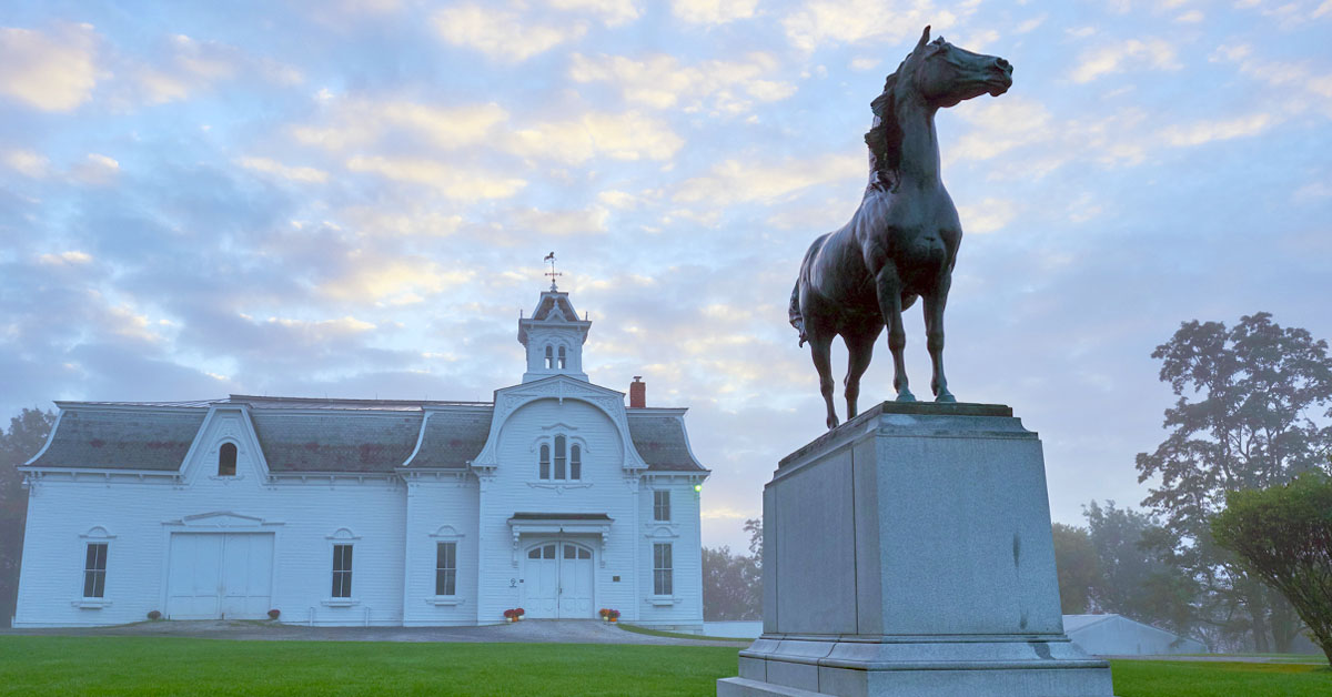 What's Buzzing Centennial Celebration Honors Statue of Justin Morgan