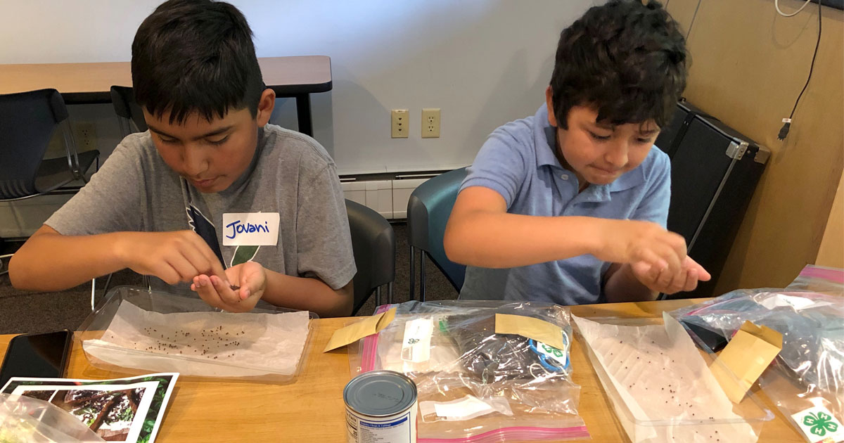 What's Buzzing ArchiveExtension Programs Collaborate to Support Vermont ...