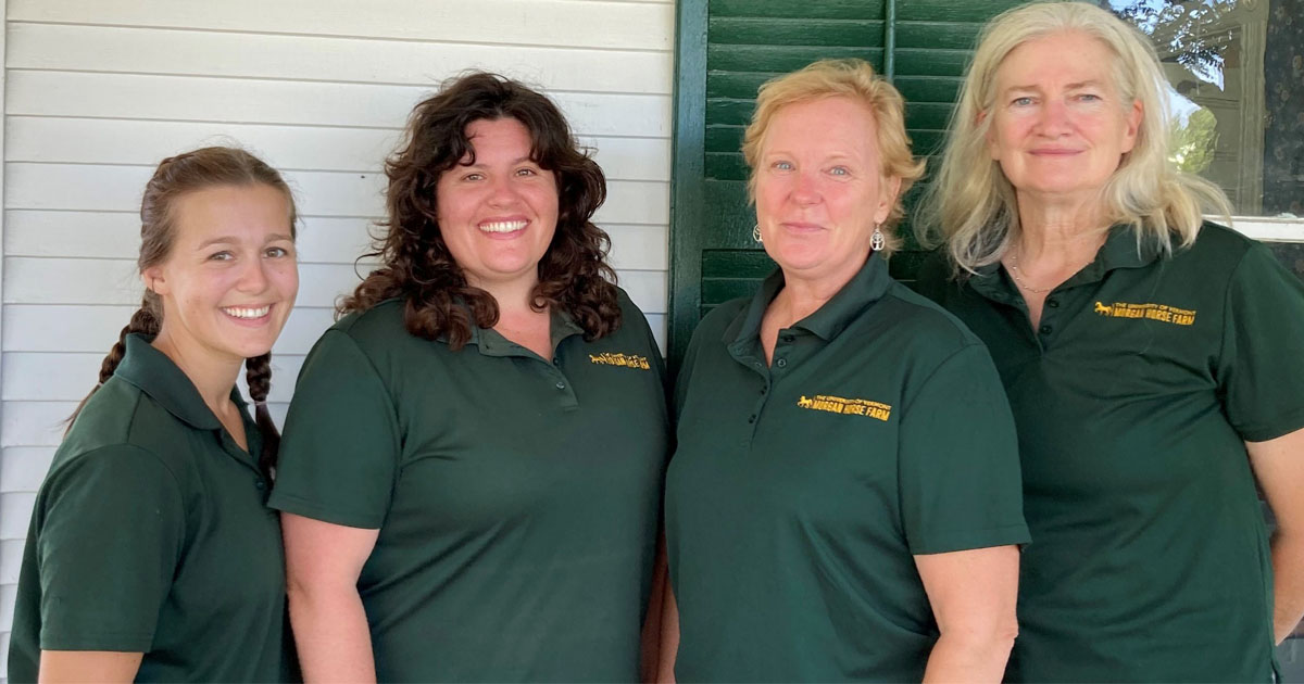 What's Buzzing ArchiveStaff Transitions at the UVM Morgan Horse Farm
