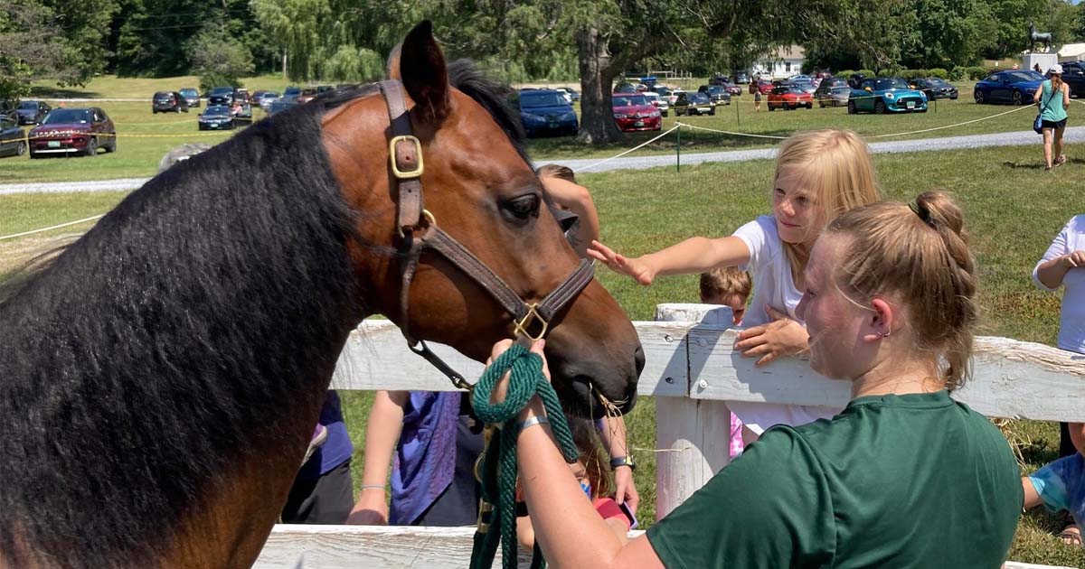 What's Buzzing Vermont Day at the UVM Morgan Horse Farm