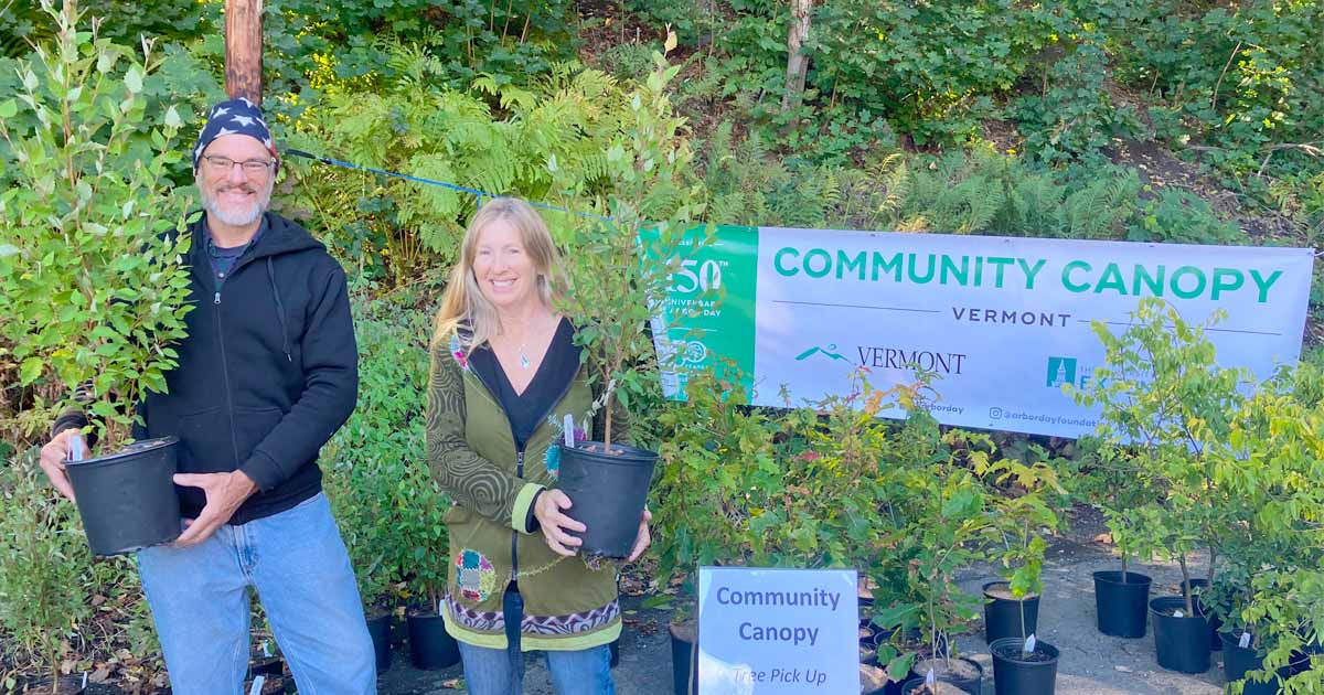 What's Buzzing ArchiveCommunity Canopy Program Offers Free Trees as ...