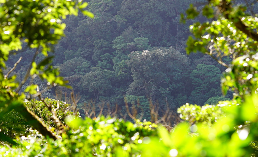 What's Buzzing Scenes from Winter Break Travel Study Courses