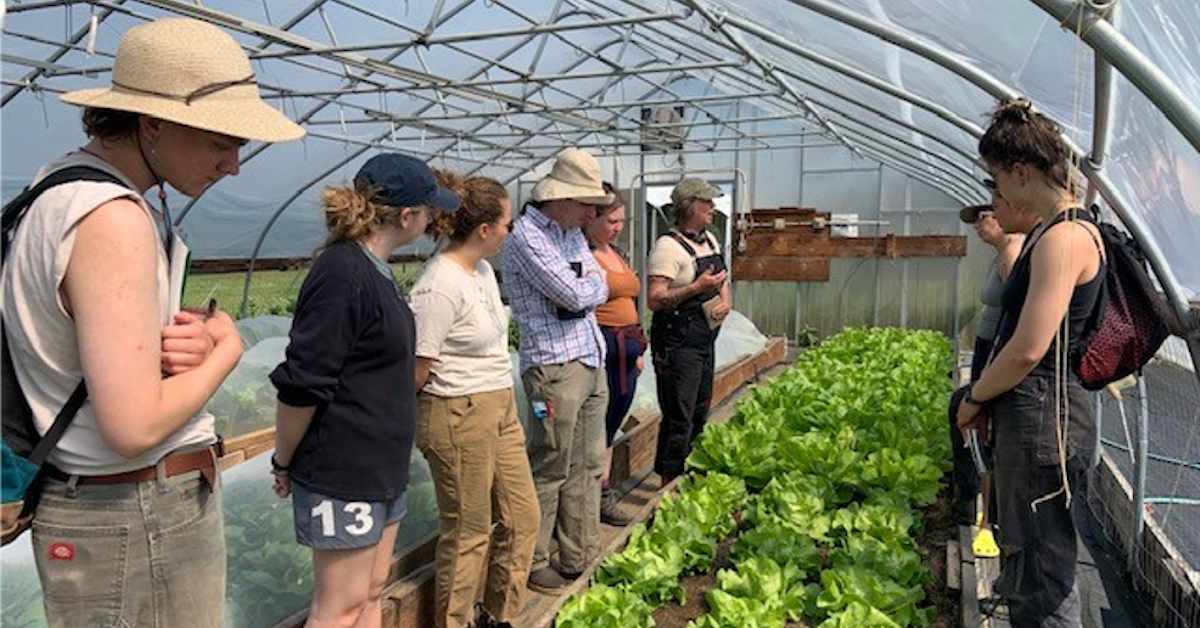 What's Buzzing UVM Horticulture Research and Education Center: A Year ...