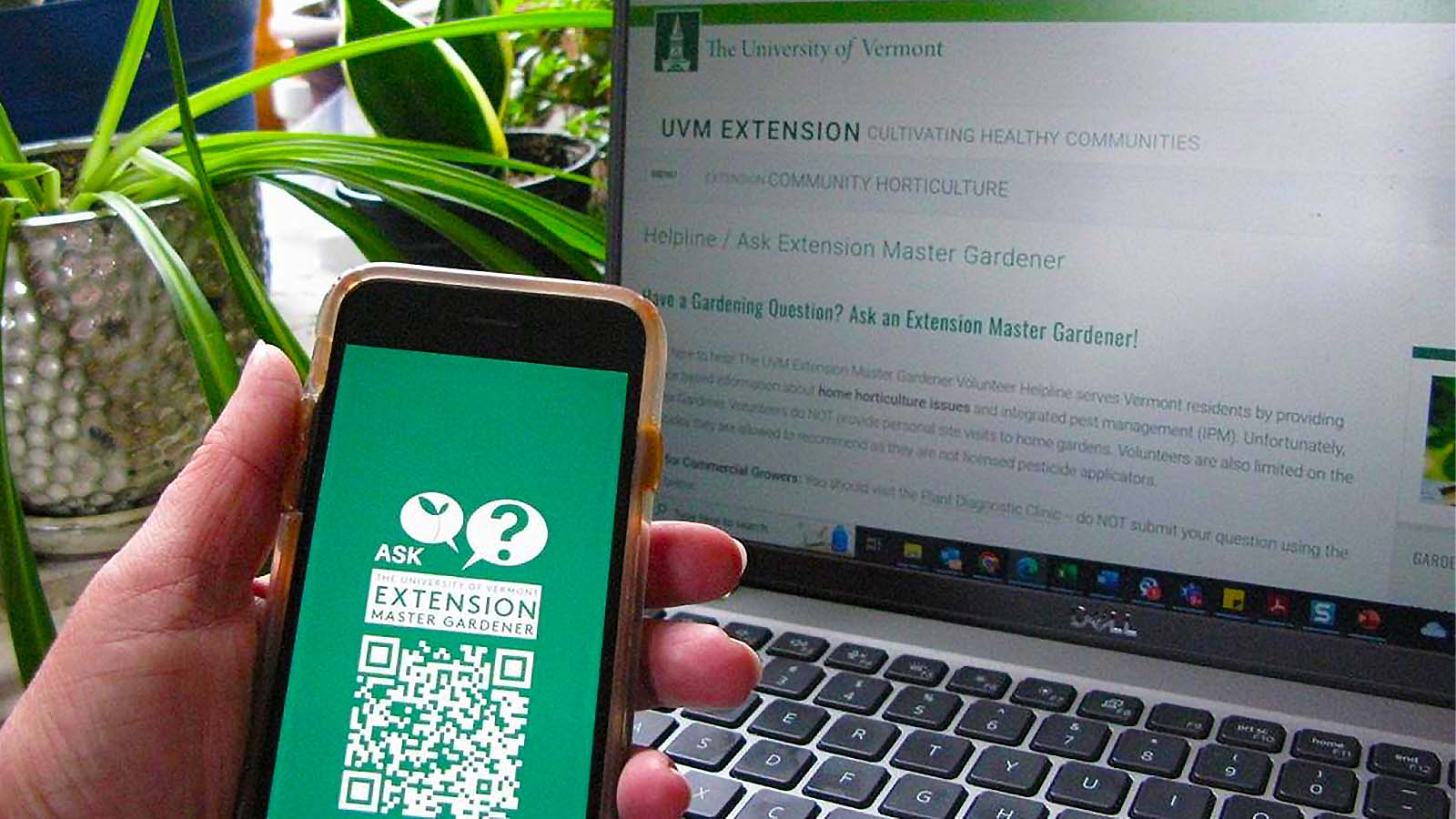 What's Buzzing Extension Master Gardener Helpline Now Open for the Season