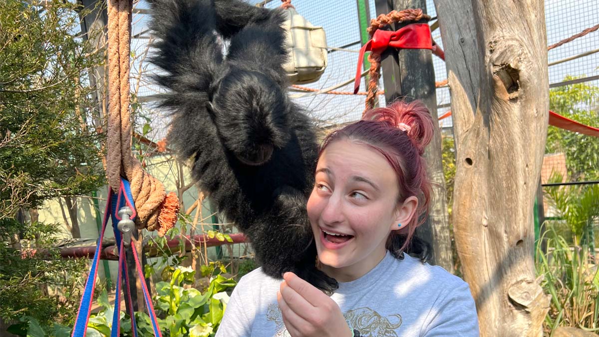 What's Buzzing ArchiveASCI Student Experiences Hands-on Veterinarian ...