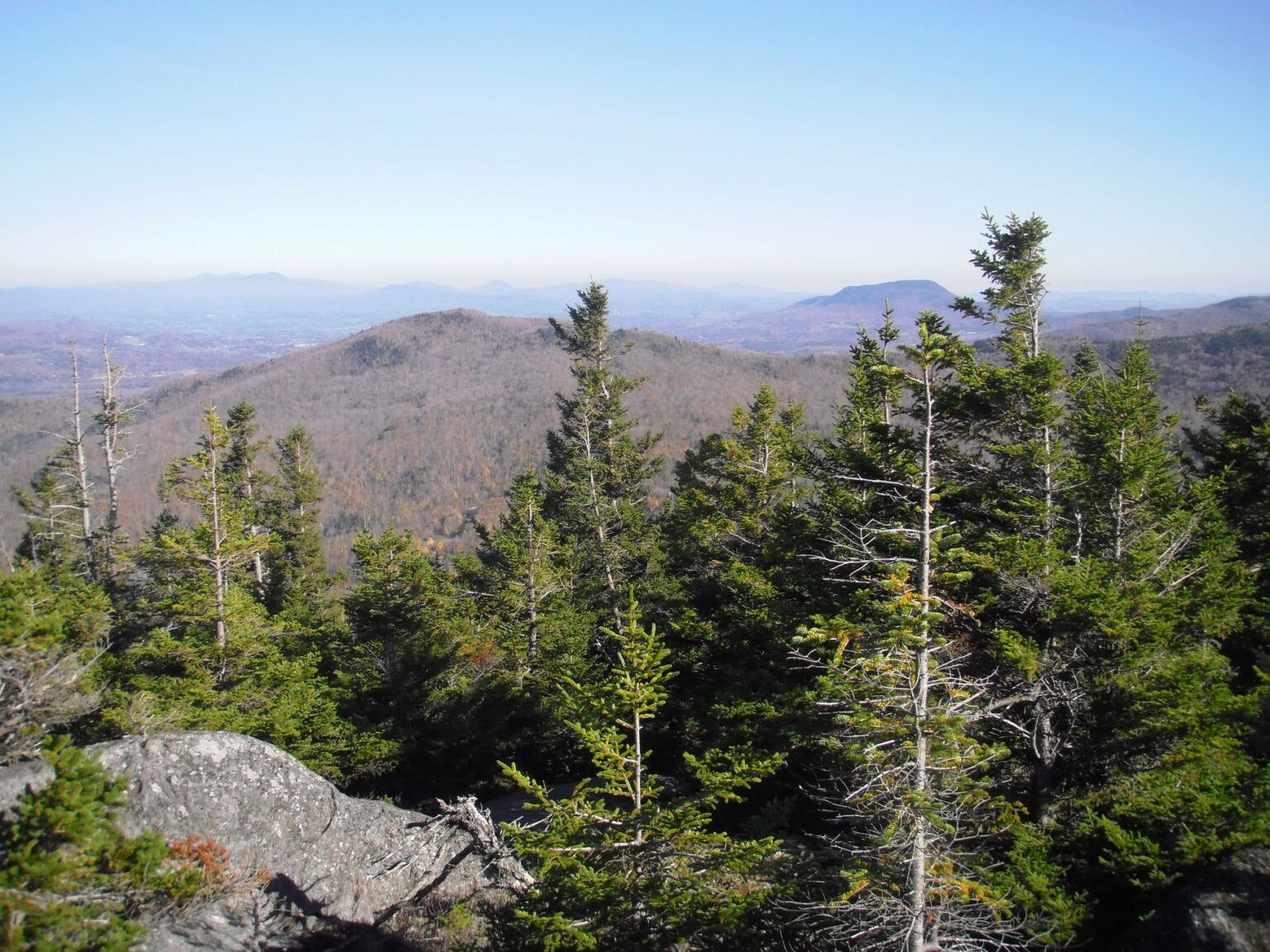 Projects – Silviculture & Applied Forest Ecology Lab